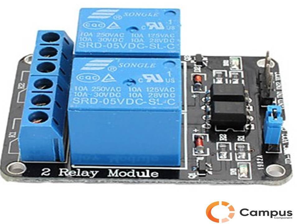 Buy 5V 2 Channel Relay Module Online at Low Cost in India